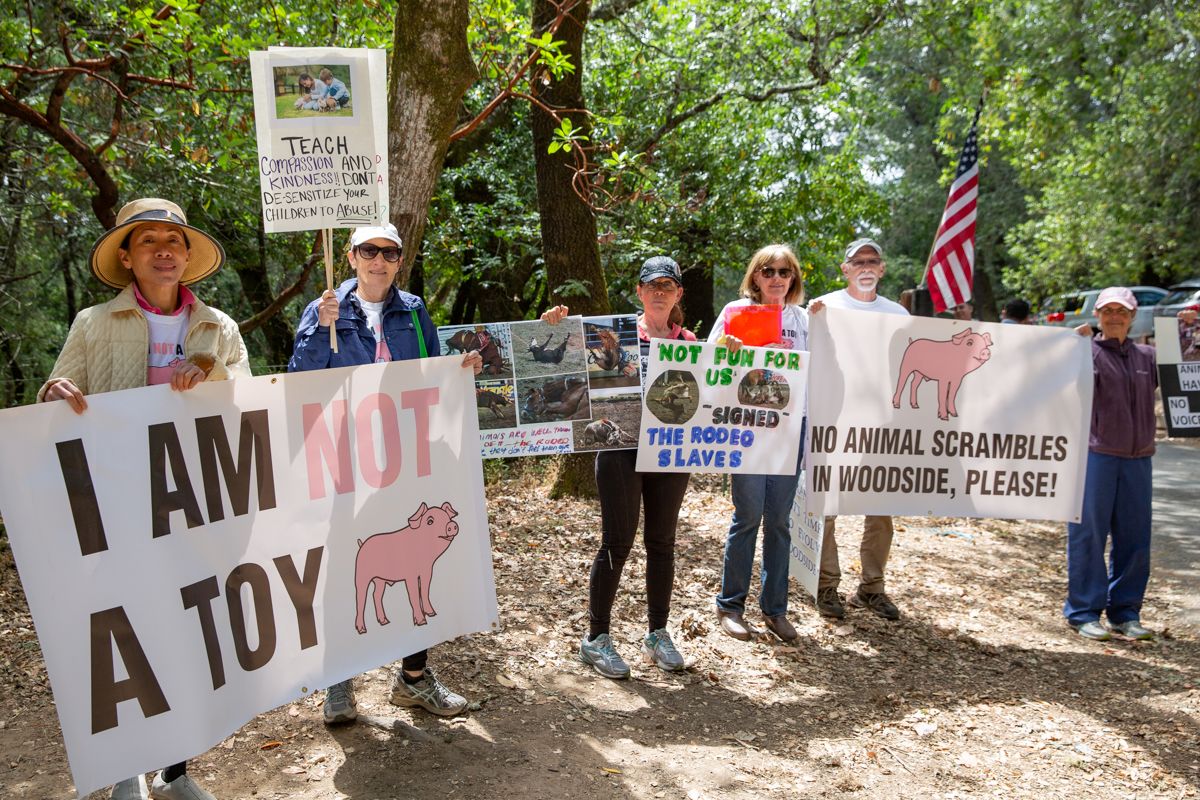 Woodside: Annual rodeo draws two protest groups - The Almanac