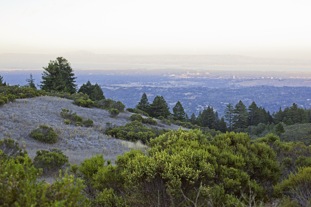Peninsula Open Space Trust keeps 80,000+ acres of local landscape green ...