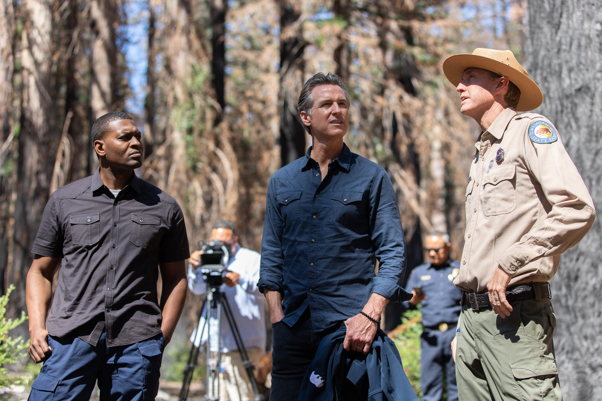 Big Basin Redwood State Park is set to partially reopen in July, after ...