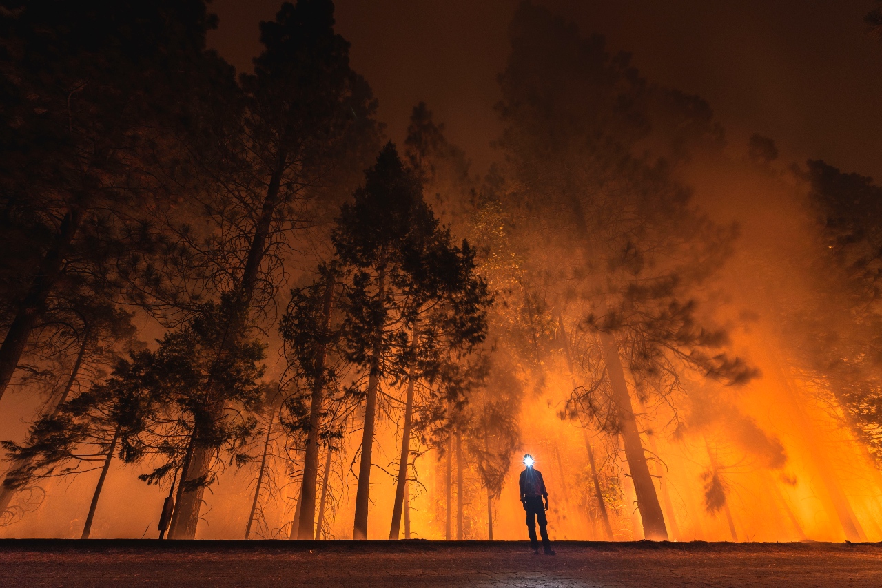 From the flames: Palo Alto Art Center exhibit explores the impact of ...