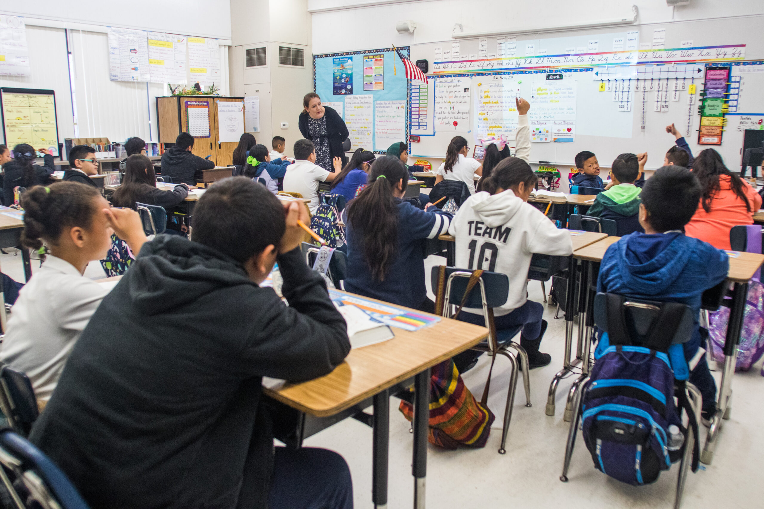 Local school districts' state test scores are a mixed bag, with many ...