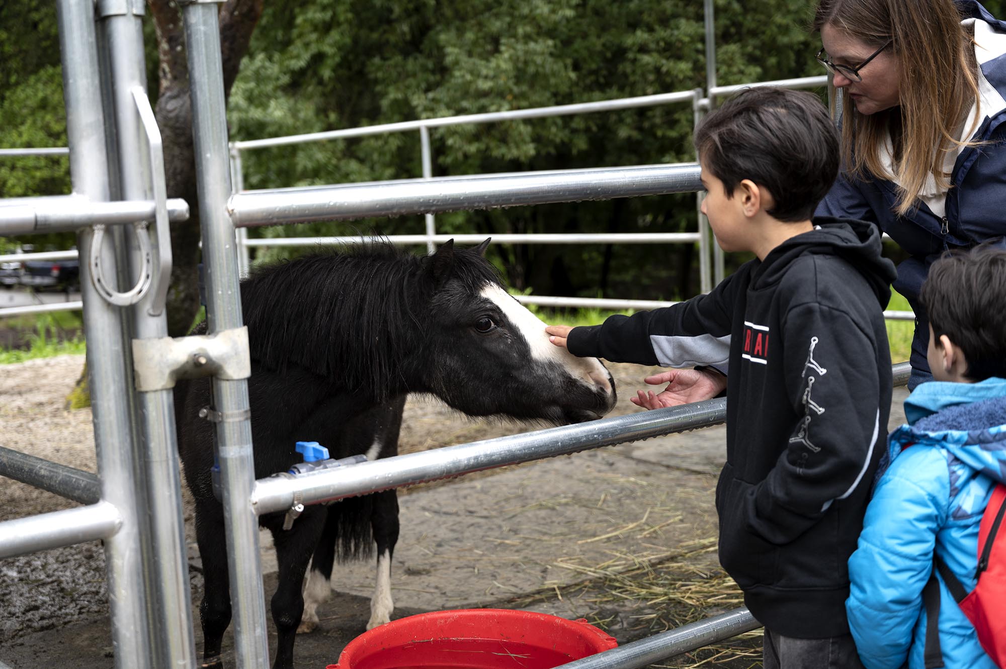 Wunderlich Park celebrates 50 years with pony rides, crafts, music and ...
