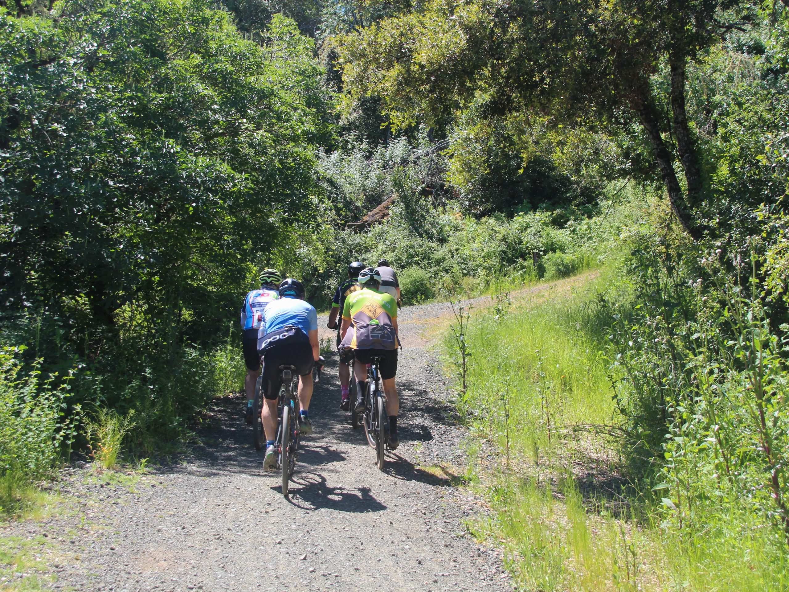 Midpen opens refurbished Alpine Road trail - The Almanac