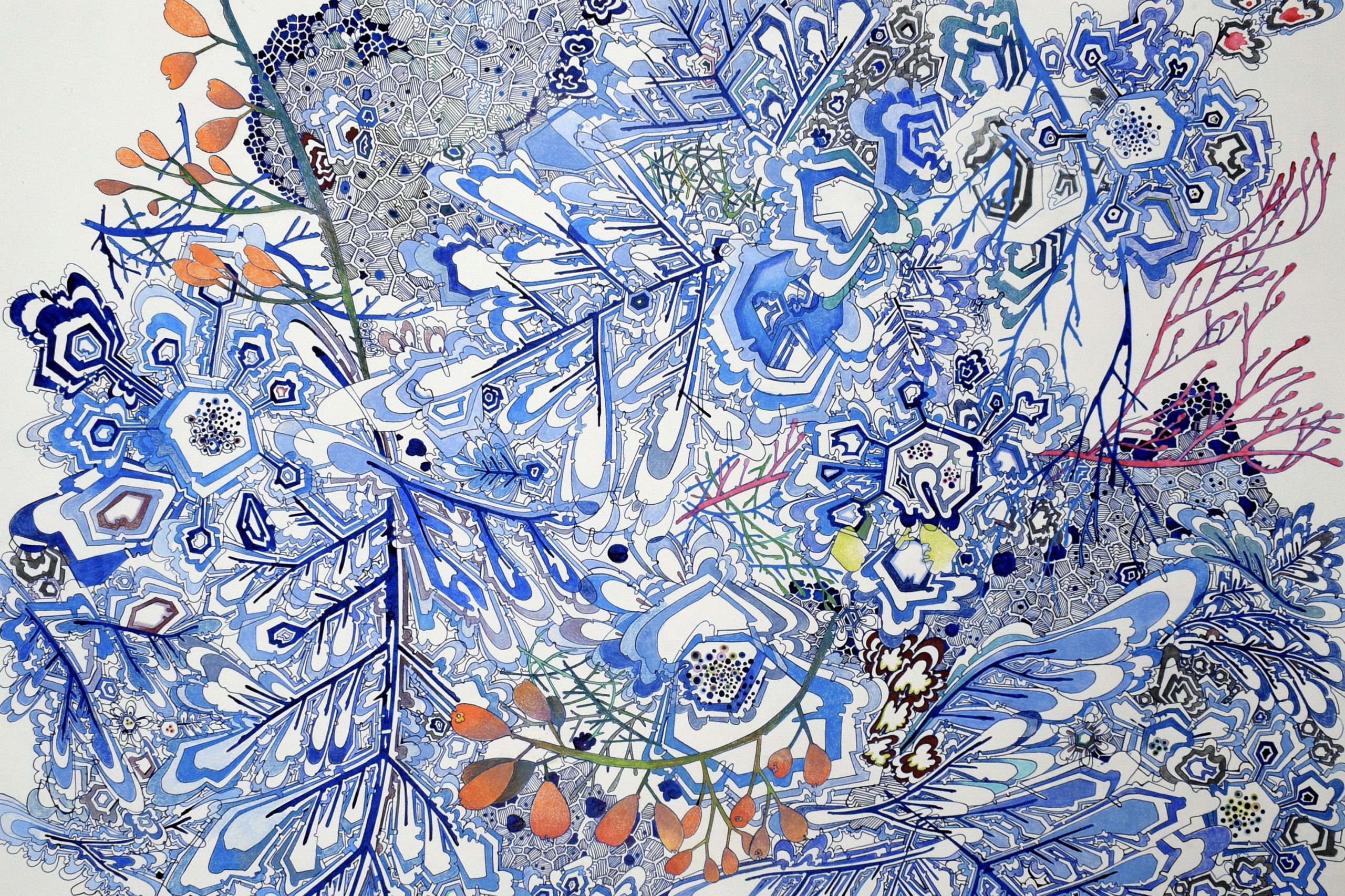 Small wonders: Sarah Morejohn's drawings provide an up-close ...