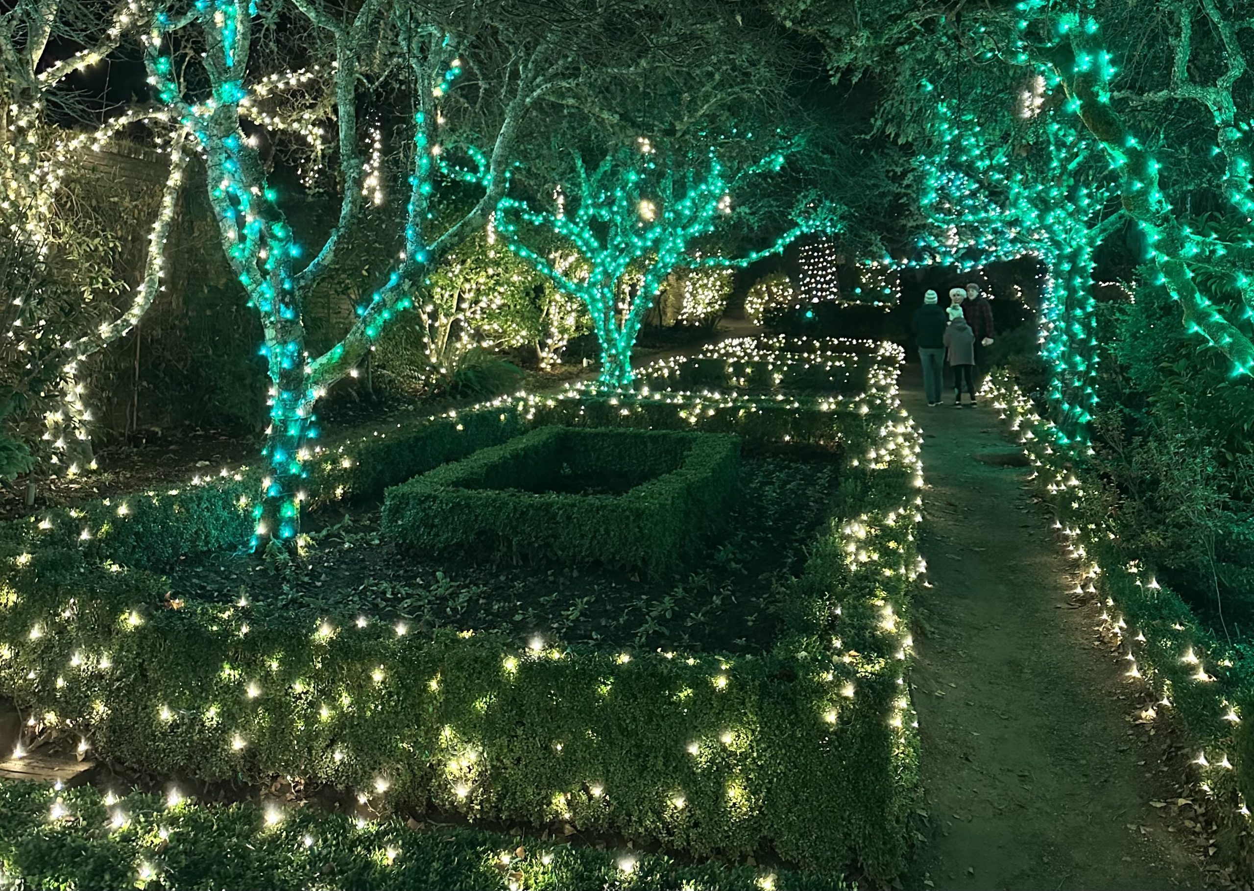 Filoli draws thousands for holiday light displays - The Almanac