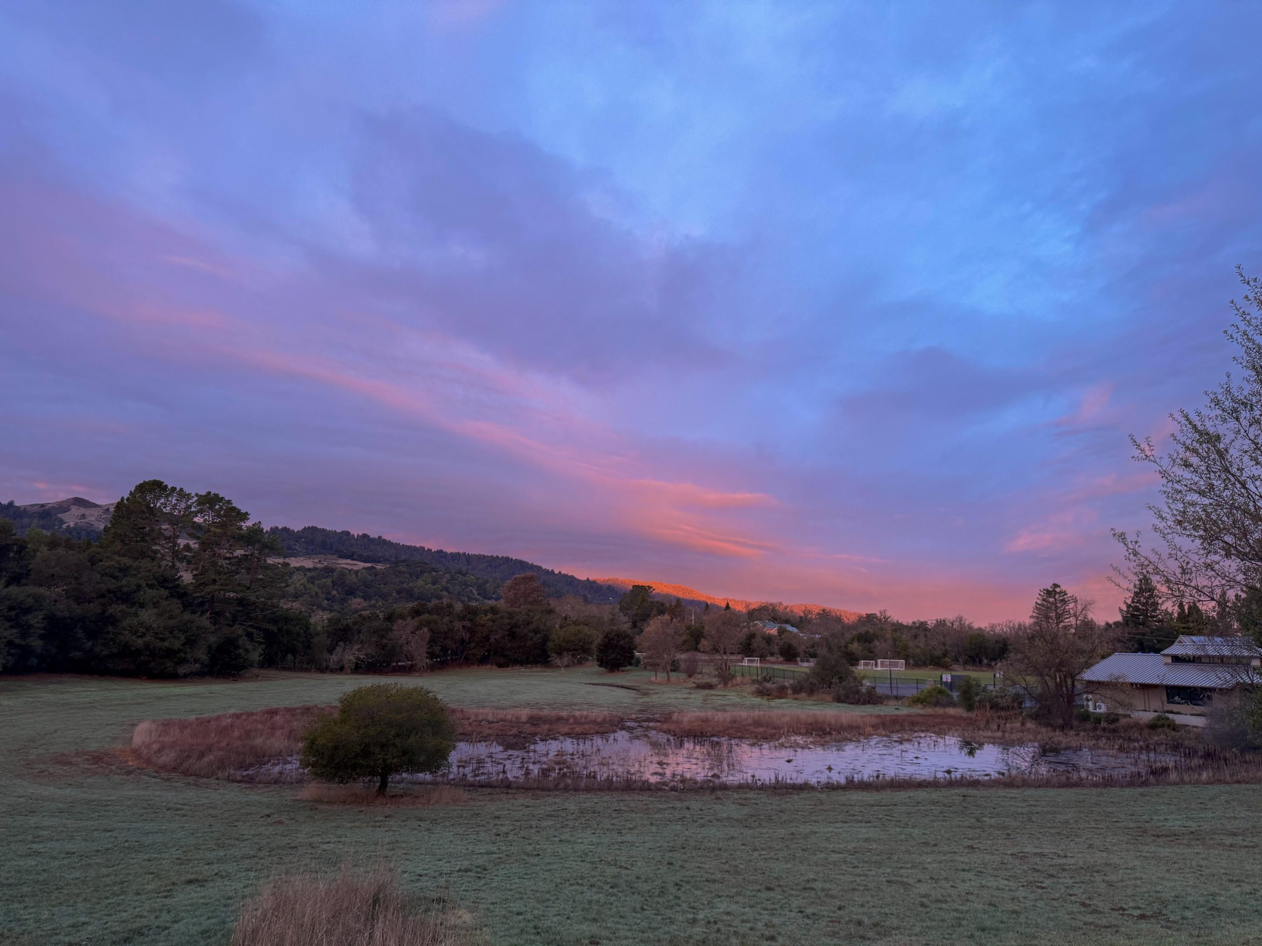 Portola Valley's Frog Pond fills - The Almanac