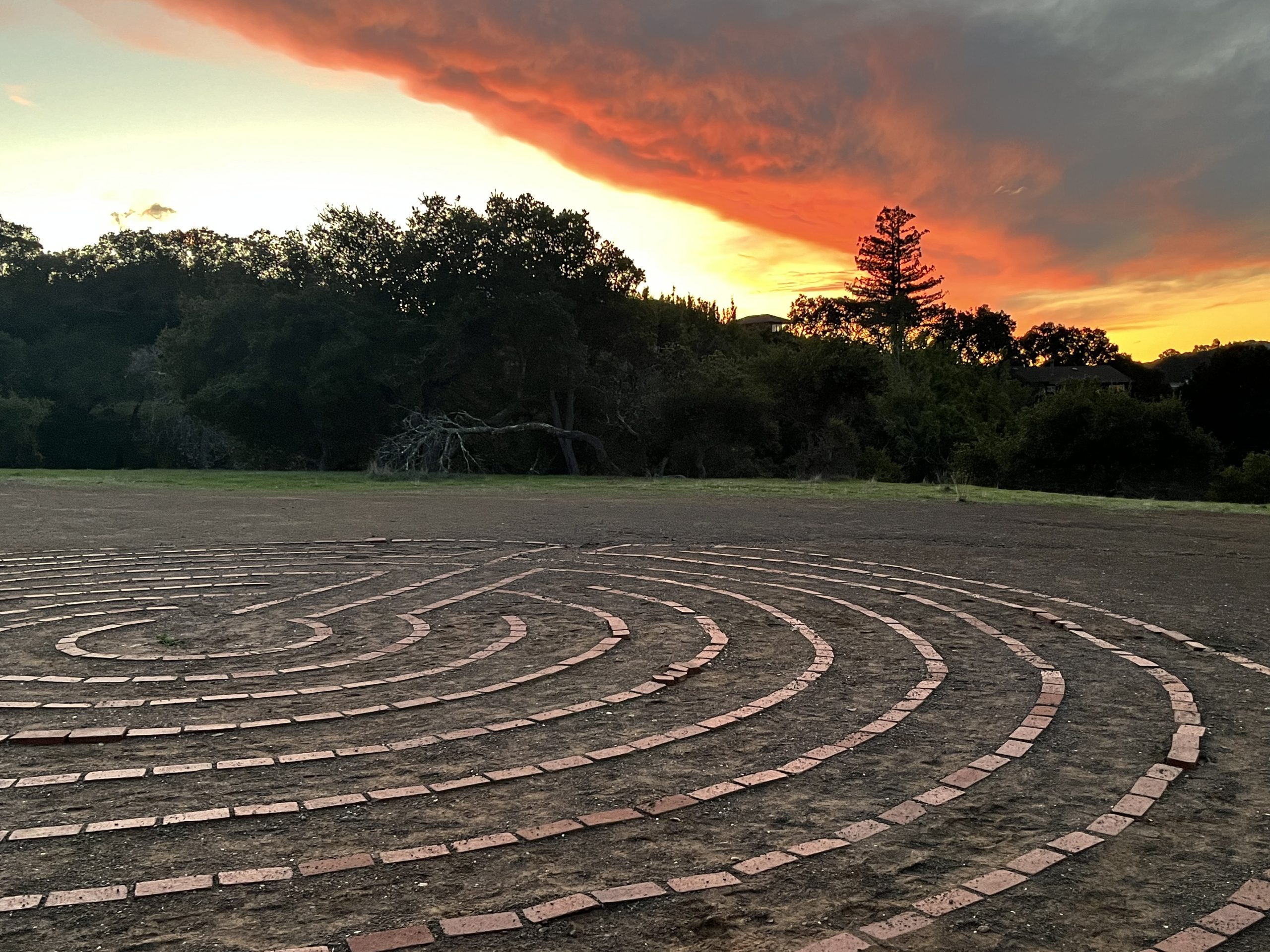 Finding the right path: Meet the master builder who designs backyard ...