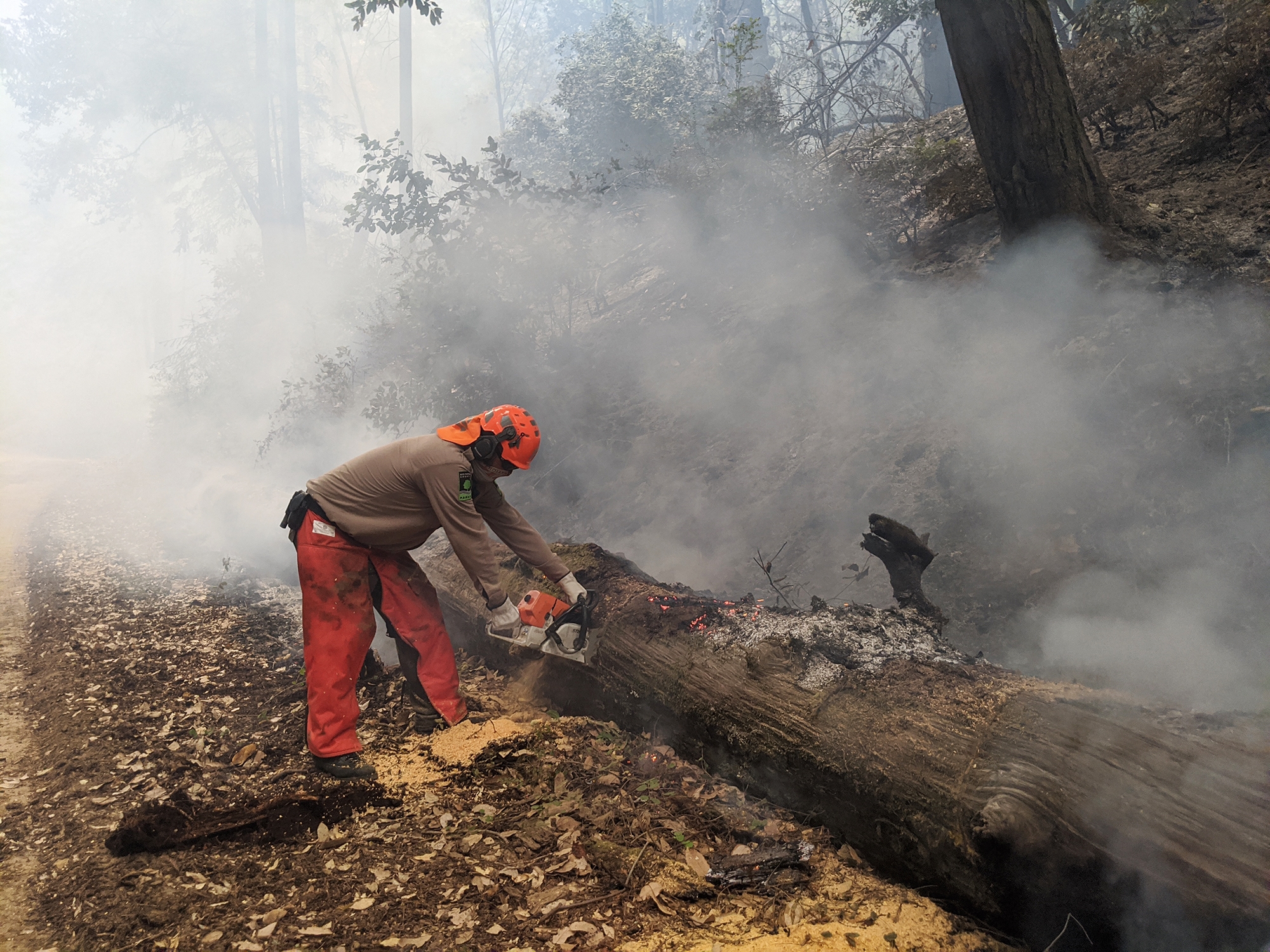 October fire-safety guide: Tips, ongoing prevention efforts and smart ...