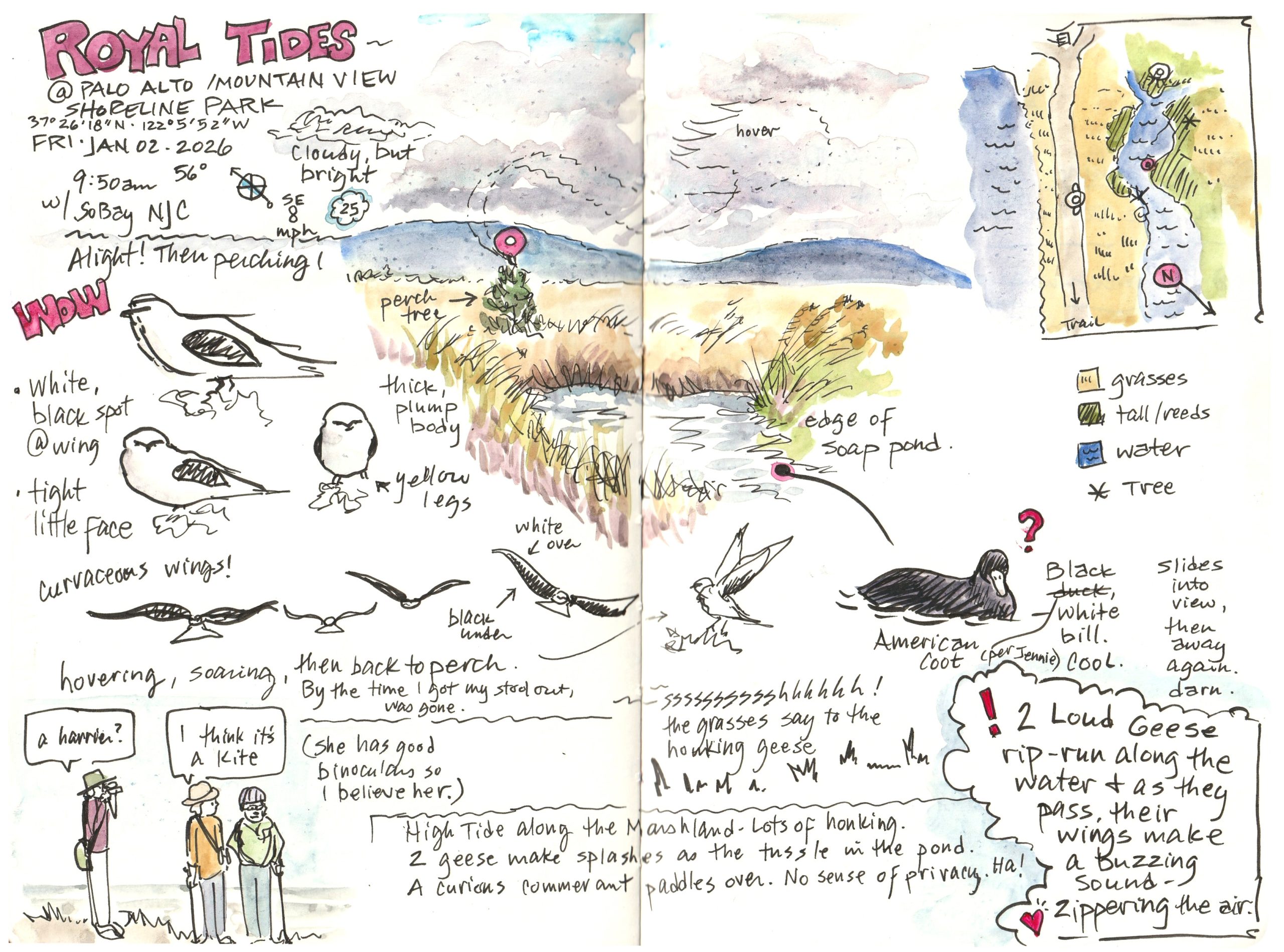 Learn the art and science of nature journaling in Palo Alto - The Almanac